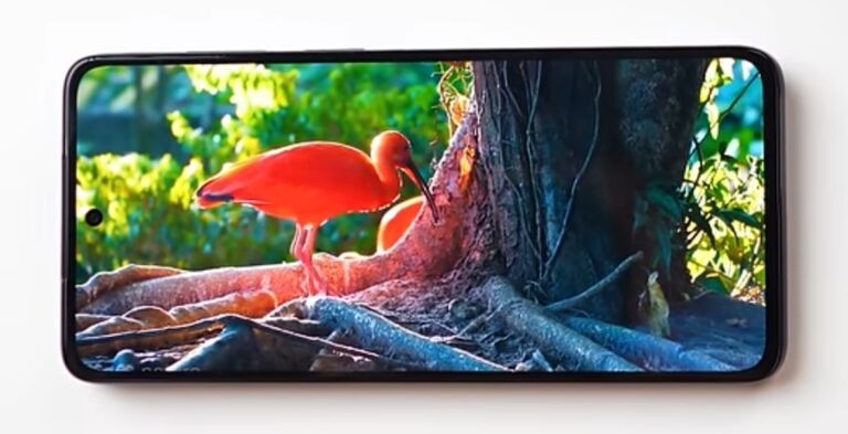 Smartphone Buying Guide: How to Choose the Right Smartphone in 2025 ...